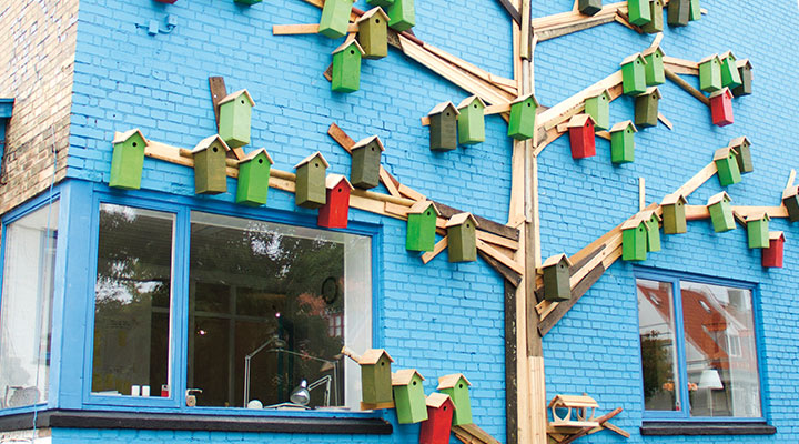 Building for Birds