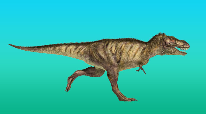 Funky Fossils Algebra Article for Students | Scholastic Math Magazine
