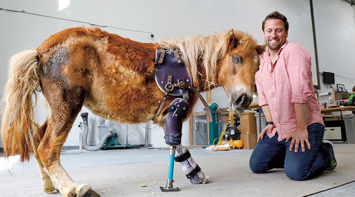 Bionic Beasts Ratios & Proportions Article for Students | Scholastic ...