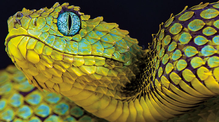 Measuring Tears Statistics & Probability Article for Students ...