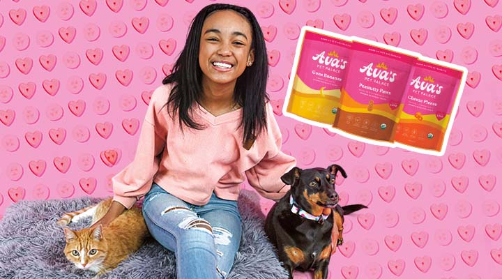 Ava’s Healthy Pet Treats Financial Literacy Article for Students ...