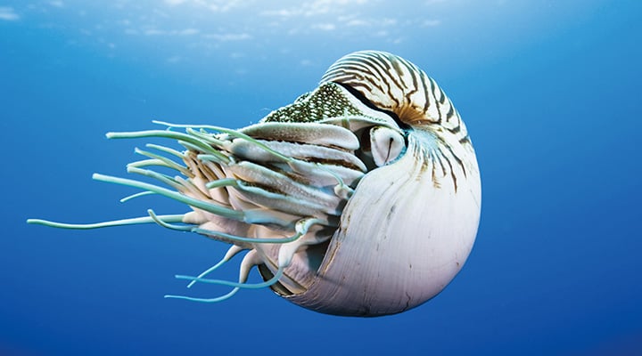 We Are Saving This Species Financial Literacy Article for Students ...